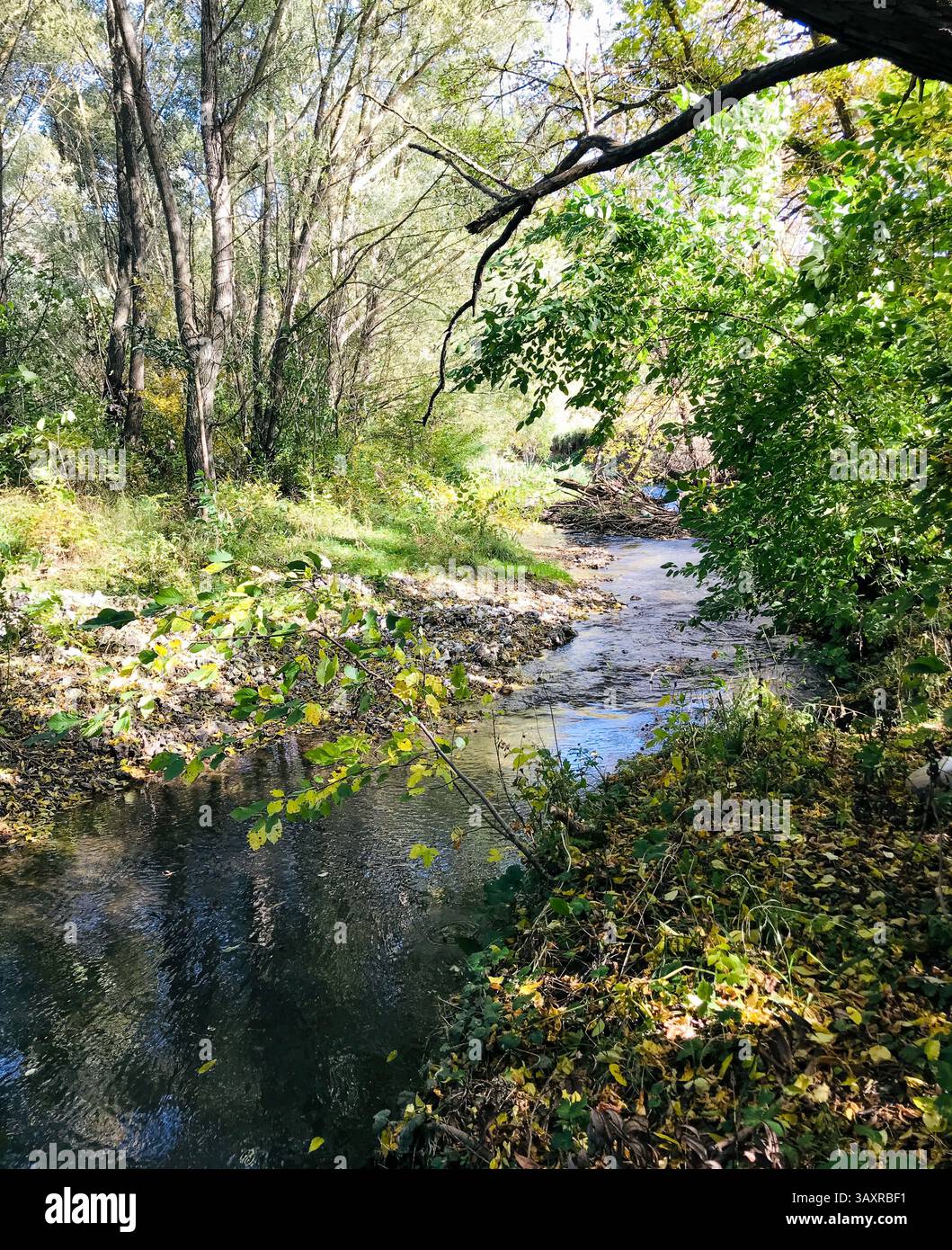 Gentle creek winding through hi-res stock photography and images - Alamy