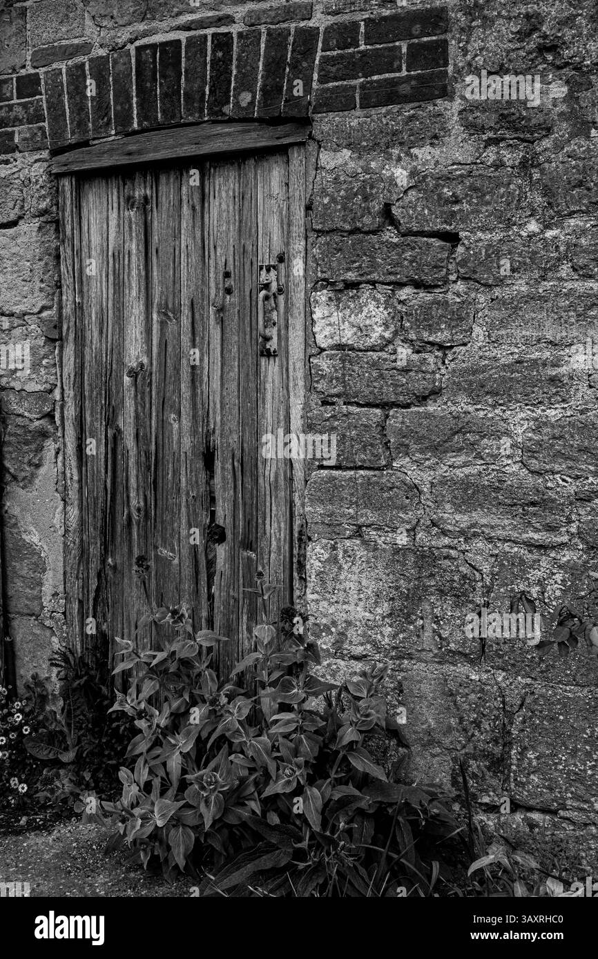 Old rustic wooden doorway set in golden stone wall, Symondsbury, Dorset ...