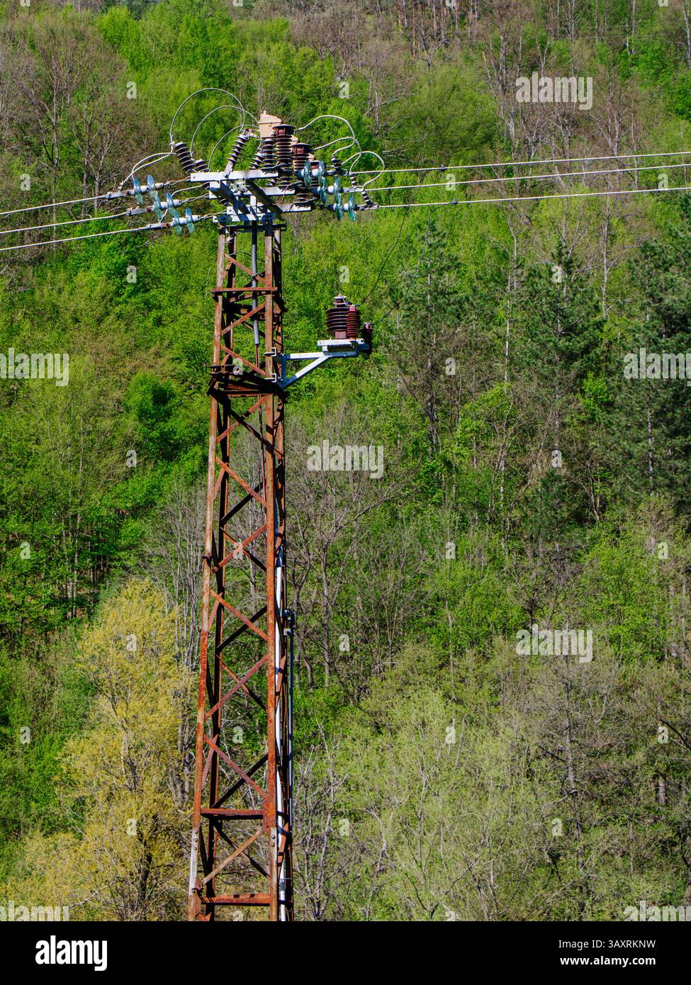 A tall power transmission tower stands prominently amidst a dense green ...