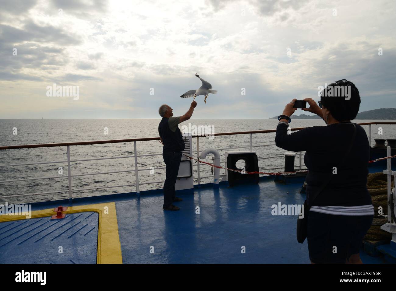 On a ferry from Corsica to Sardinia, a man feeds a seagull in full ...