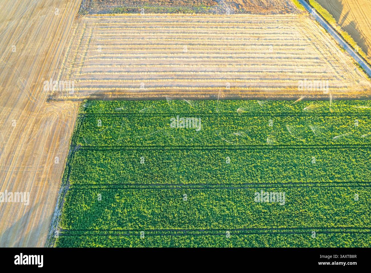 agriculture and farming: top view of field divisions. agricultural ...