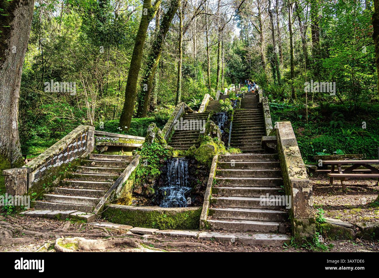 Famous water stairway Fonte Fria in the magical ancient forest of ...