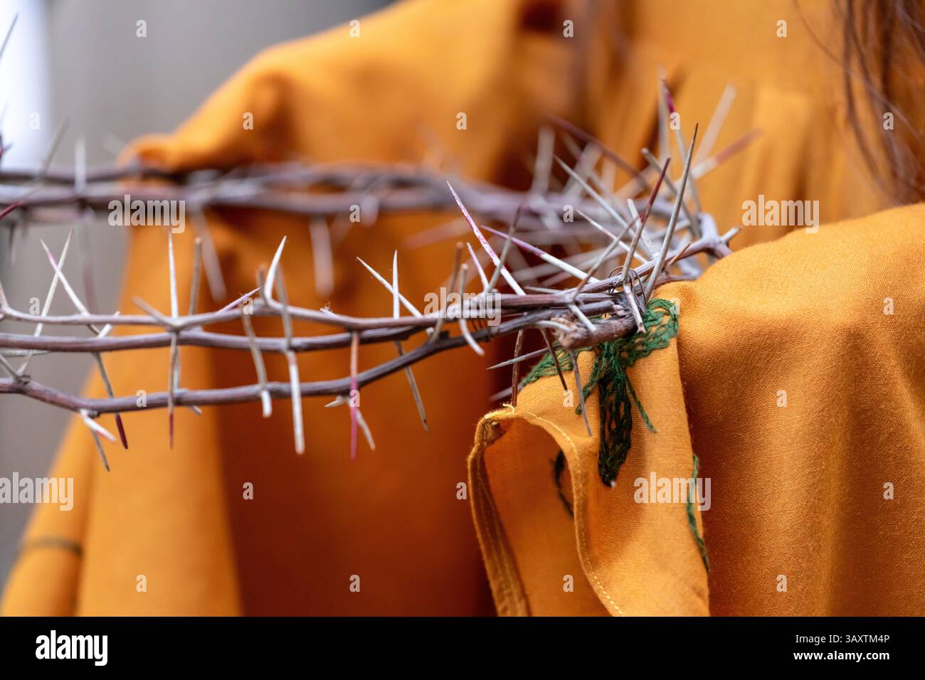 Crown of thorns made of branches with sharp thorns held by a catholic ...