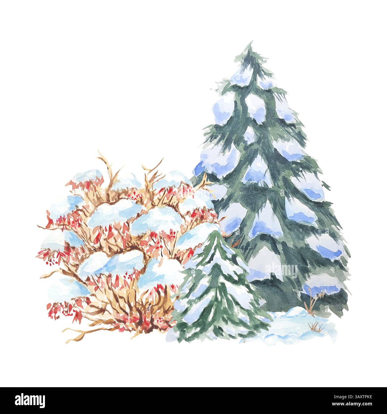 Woodland landscape clipart hi-res stock photography and images - Alamy