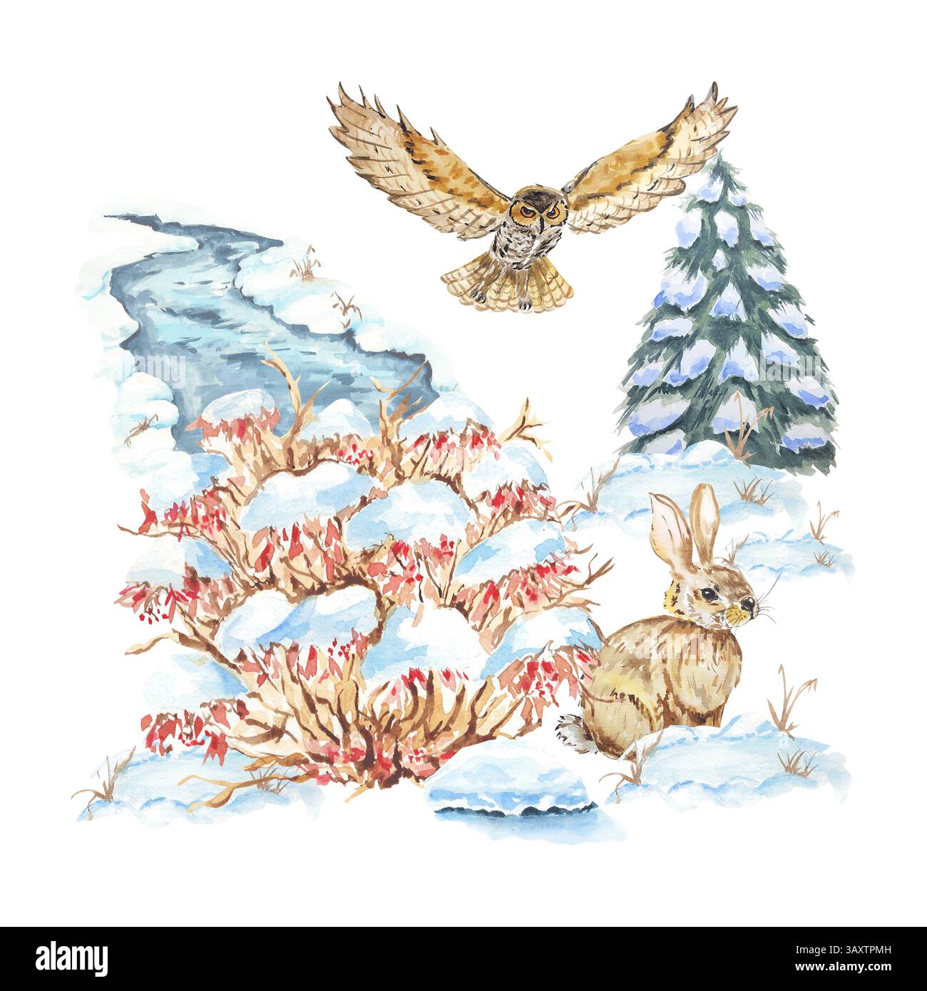 Rabbit bush hi-res stock photography and images - Alamy