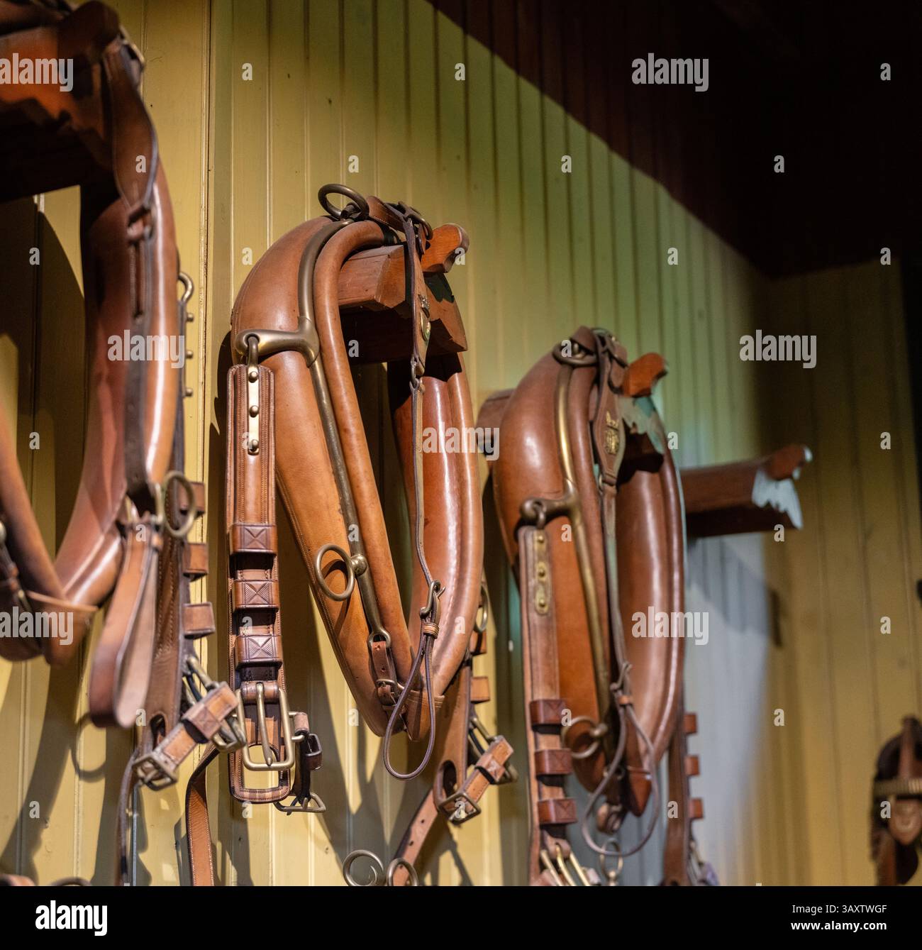 Vintage horse pulling harnesses hanging on a wall Stock Photo - Alamy
