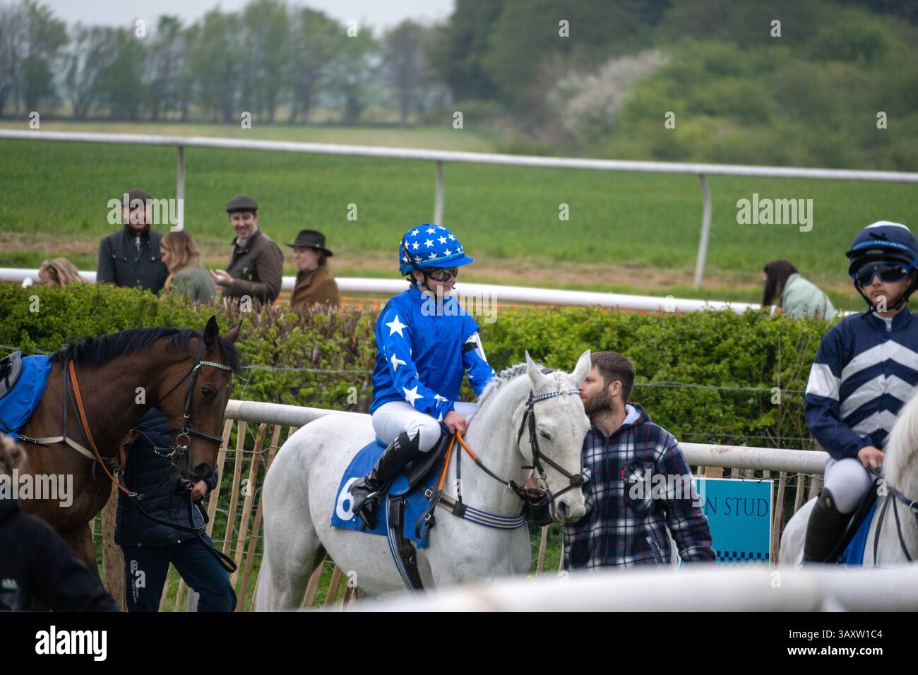 Ponies get led around the ring at Lockinge Race Course Stock Photo - Alamy