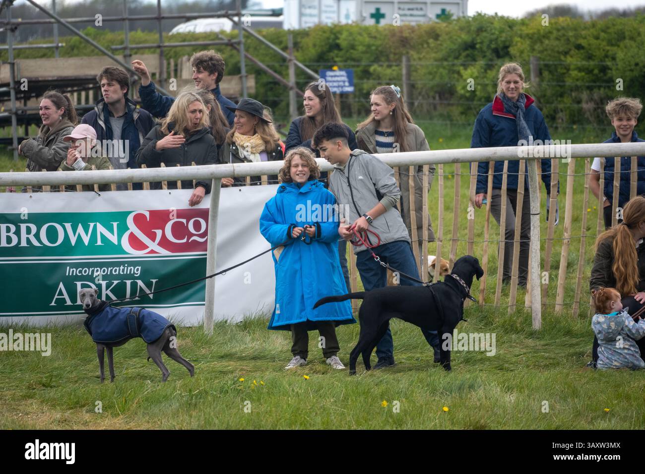 Dog Show, Lockinge Point to Point Stock Photo - Alamy