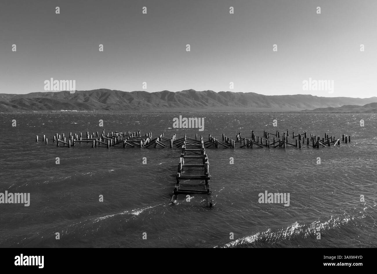 T-Form Shaped: Wooden Structure Revealed by Receding Lake Water Stock ...