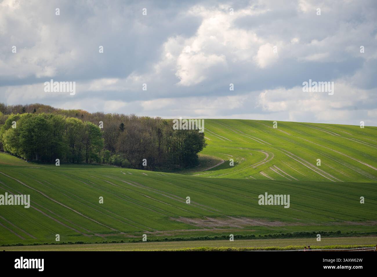 Dramatic landscape, rich light on fields with clouds Stock Photo - Alamy