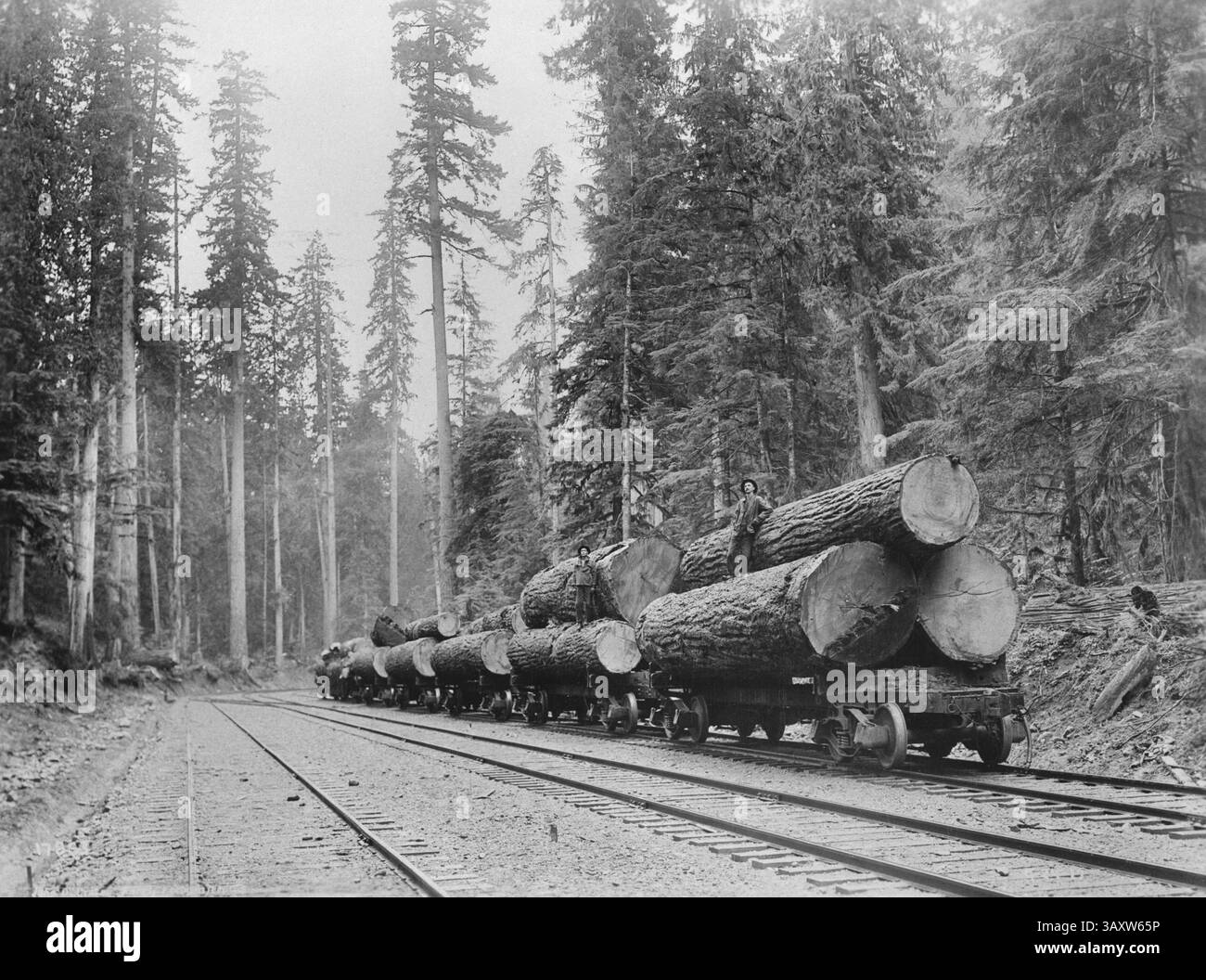 2012 train Black and White Stock Photos & Images - Alamy