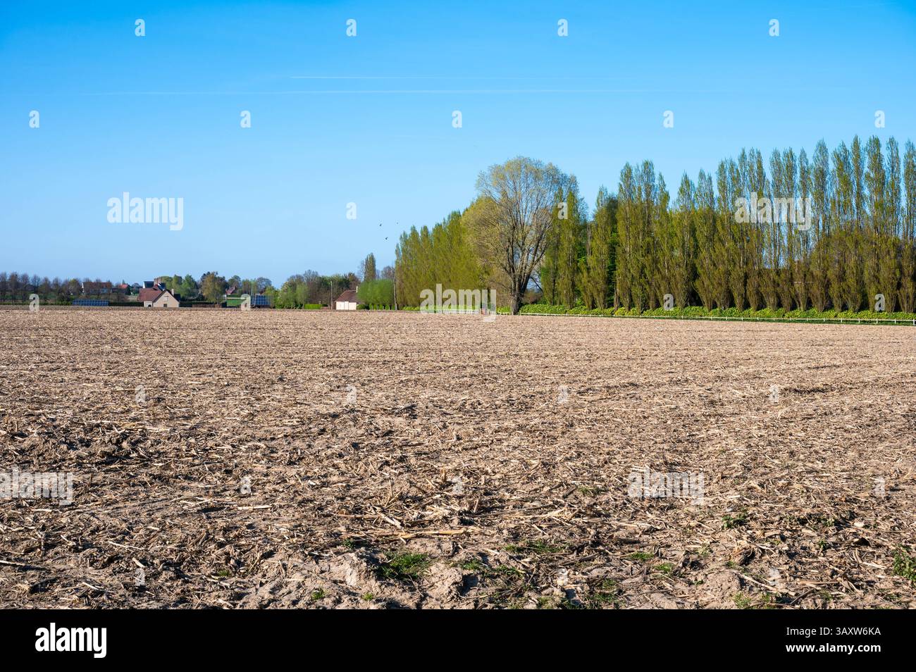Ploughed and fertilized agriculture field at the Flemish countryside in ...