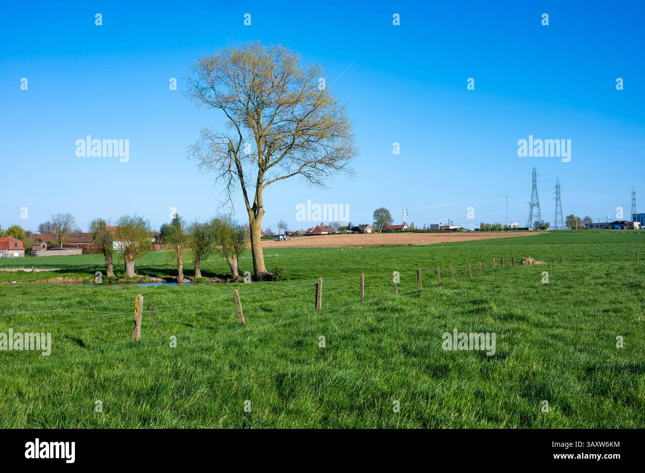 Green agriculture fields with fresh growing plantations at the Flemish ...