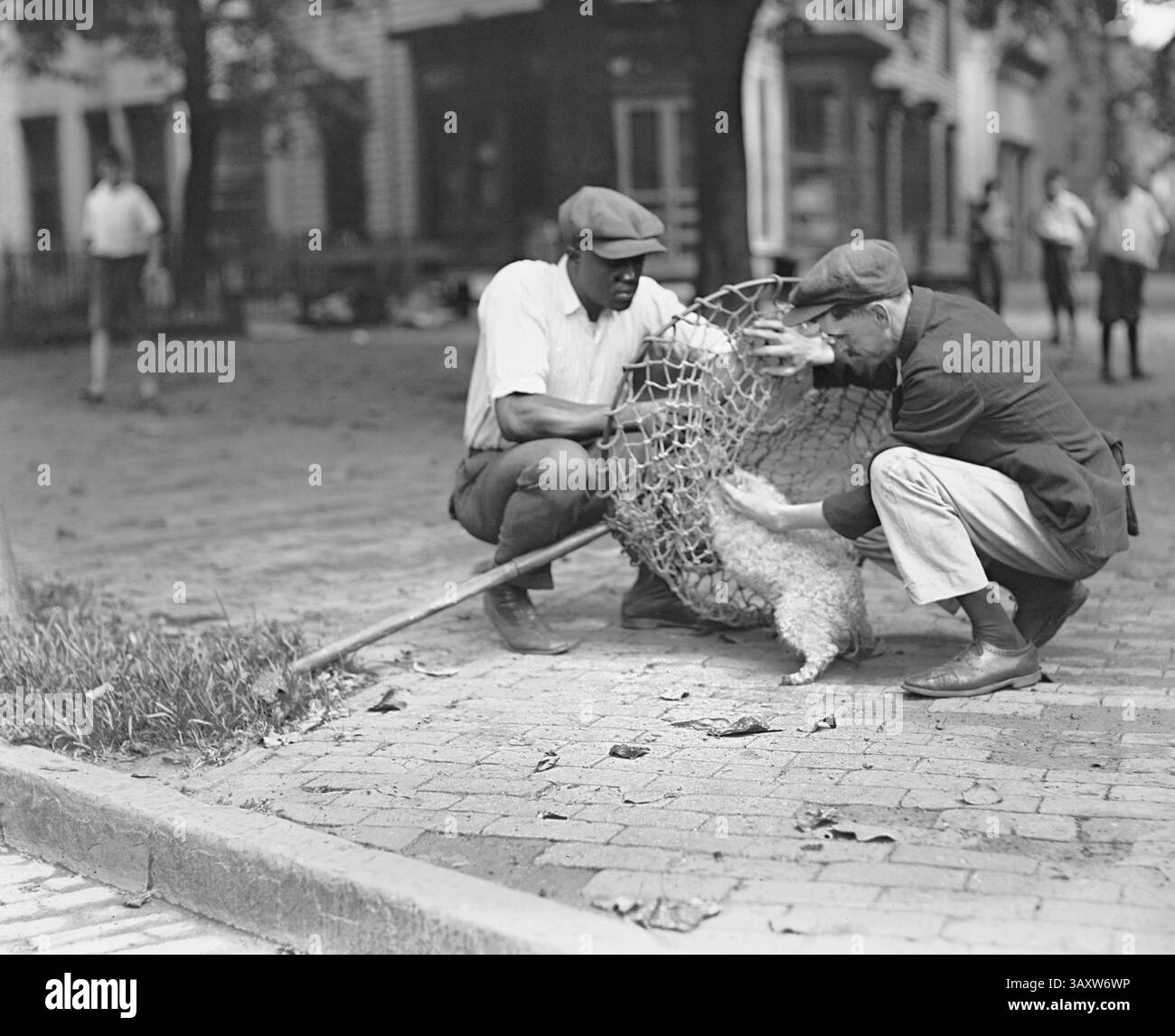 African american dog catcher Black and White Stock Photos & Images - Alamy