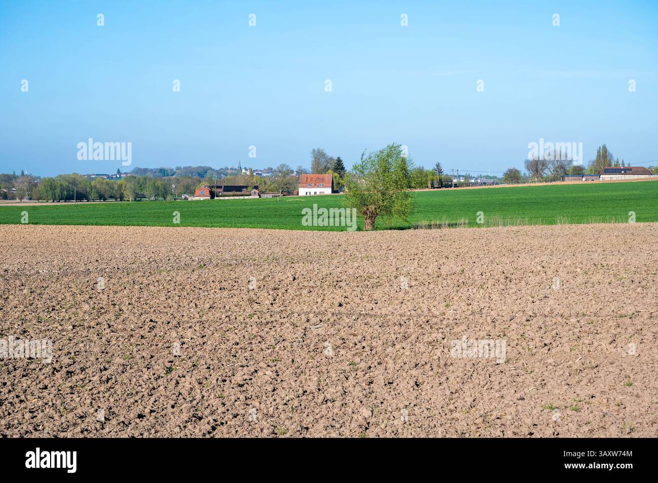 Cultivated agriculture field and old farmhouse in Aalbeke, Kortrijk ...