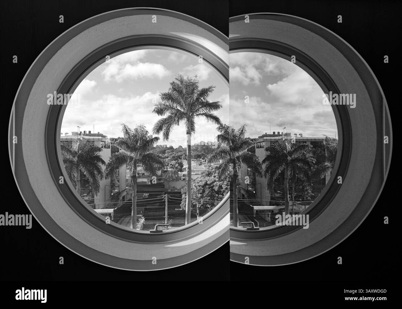 Visually intriguing photo though a window, with the image reflected in ...