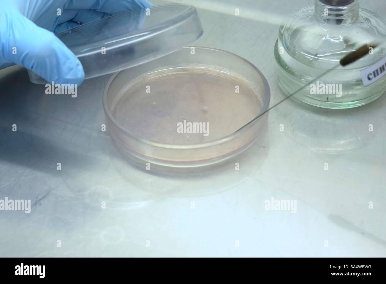 Milk analyses in the laboratory. Quality control of dairy products ...
