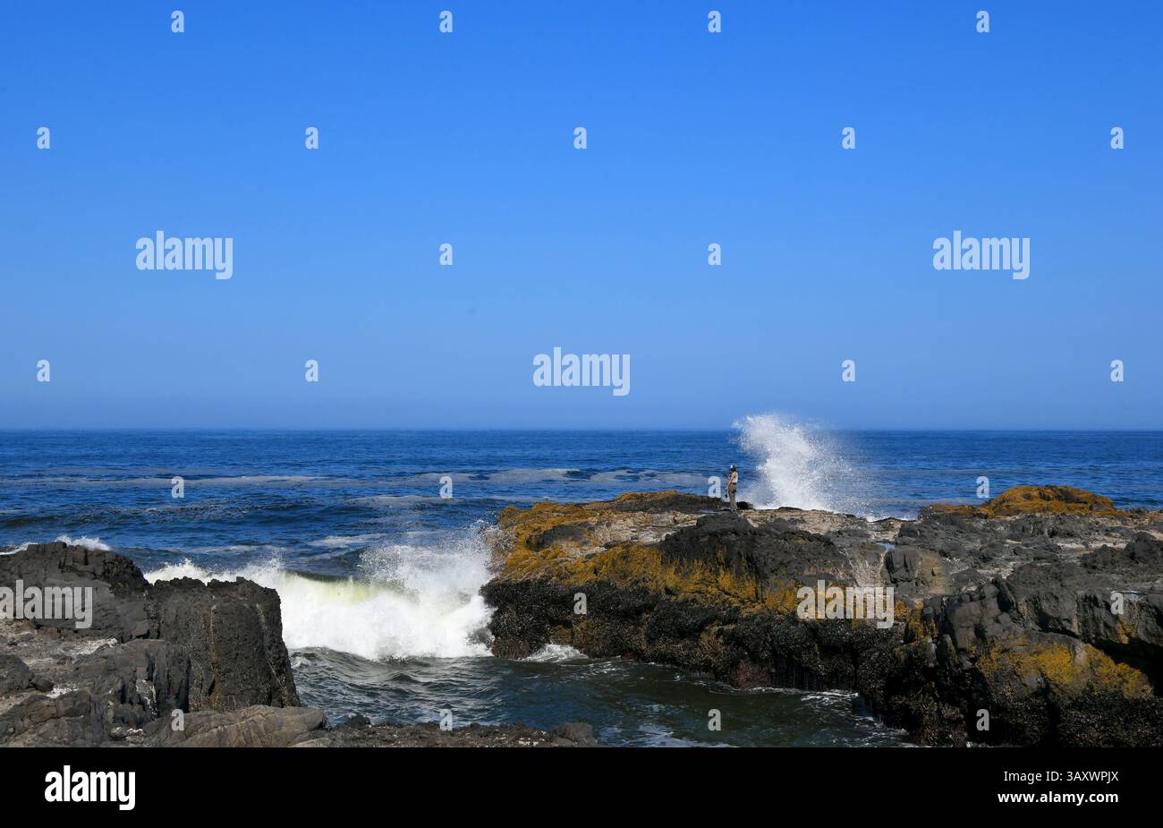 Female stands on rocky outcrop of Cook's Chasm, on the Oregon Coast ...