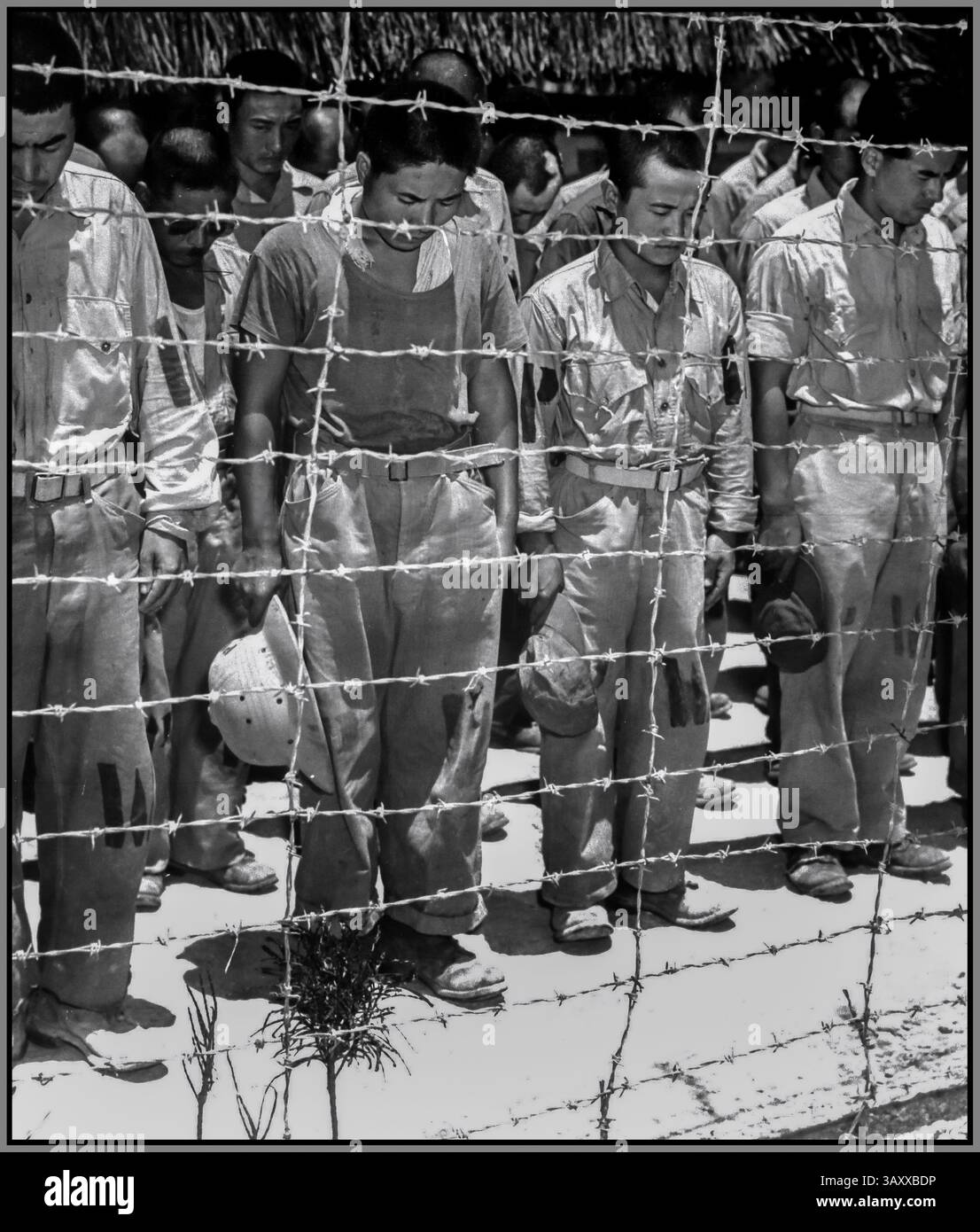 VJ DAY WW2 Japanese POW's at Guam, with bowed heads after hearing ...