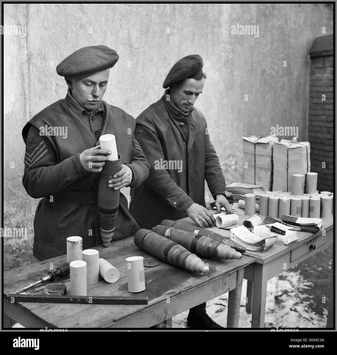 Leaflet shells hi-res stock photography and images - Alamy