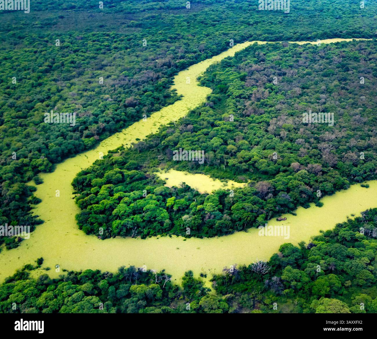Parque nacional del chaco hi-res stock photography and images - Alamy