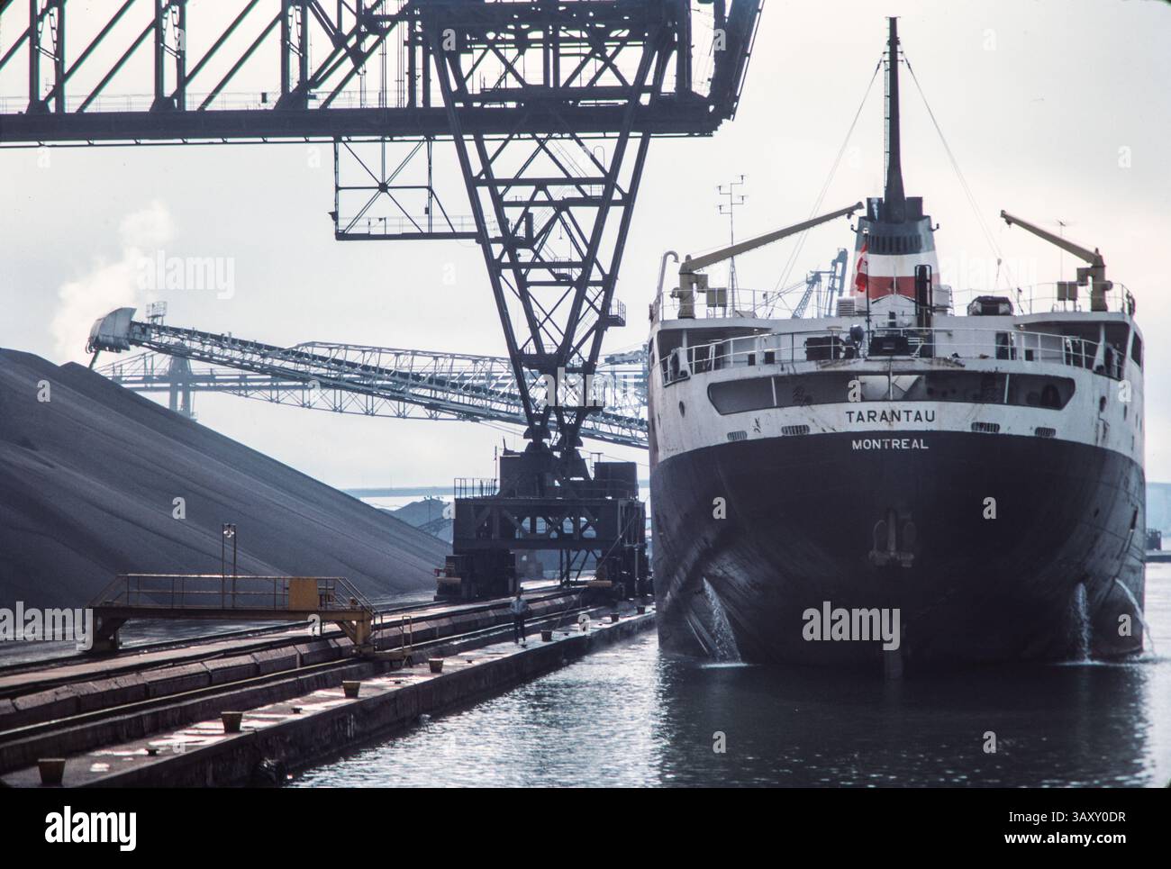 The Great Lakes steam ship Tarantau unloading a shipment of coal at the ...