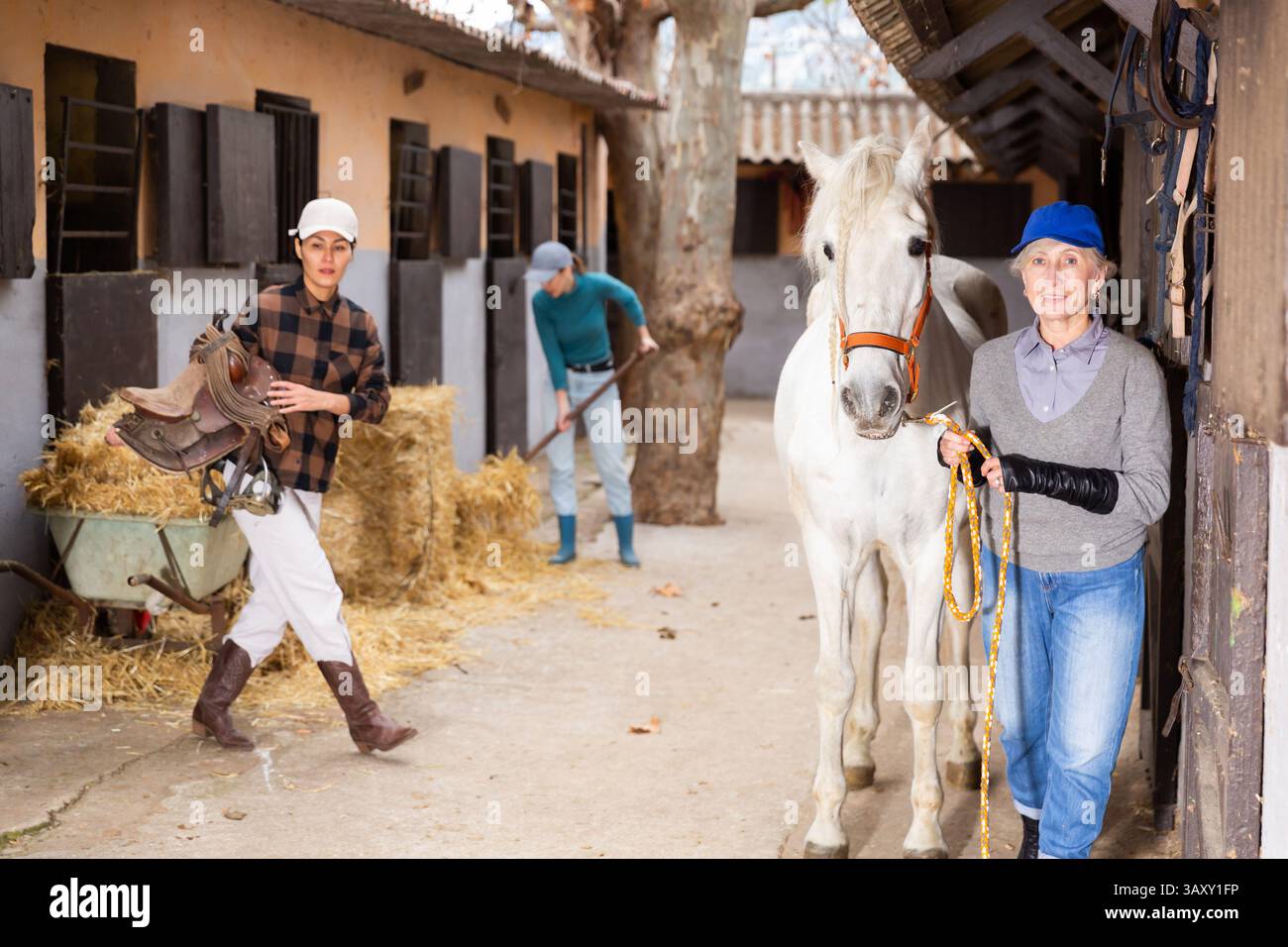Older female stable keeper leading horse outdoors while Asian woman ...