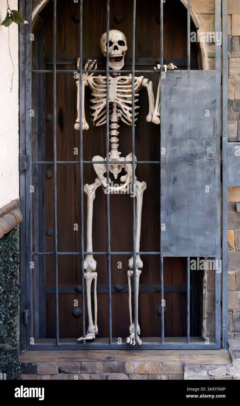 Skeleton and door with bars Stock Photo - Alamy