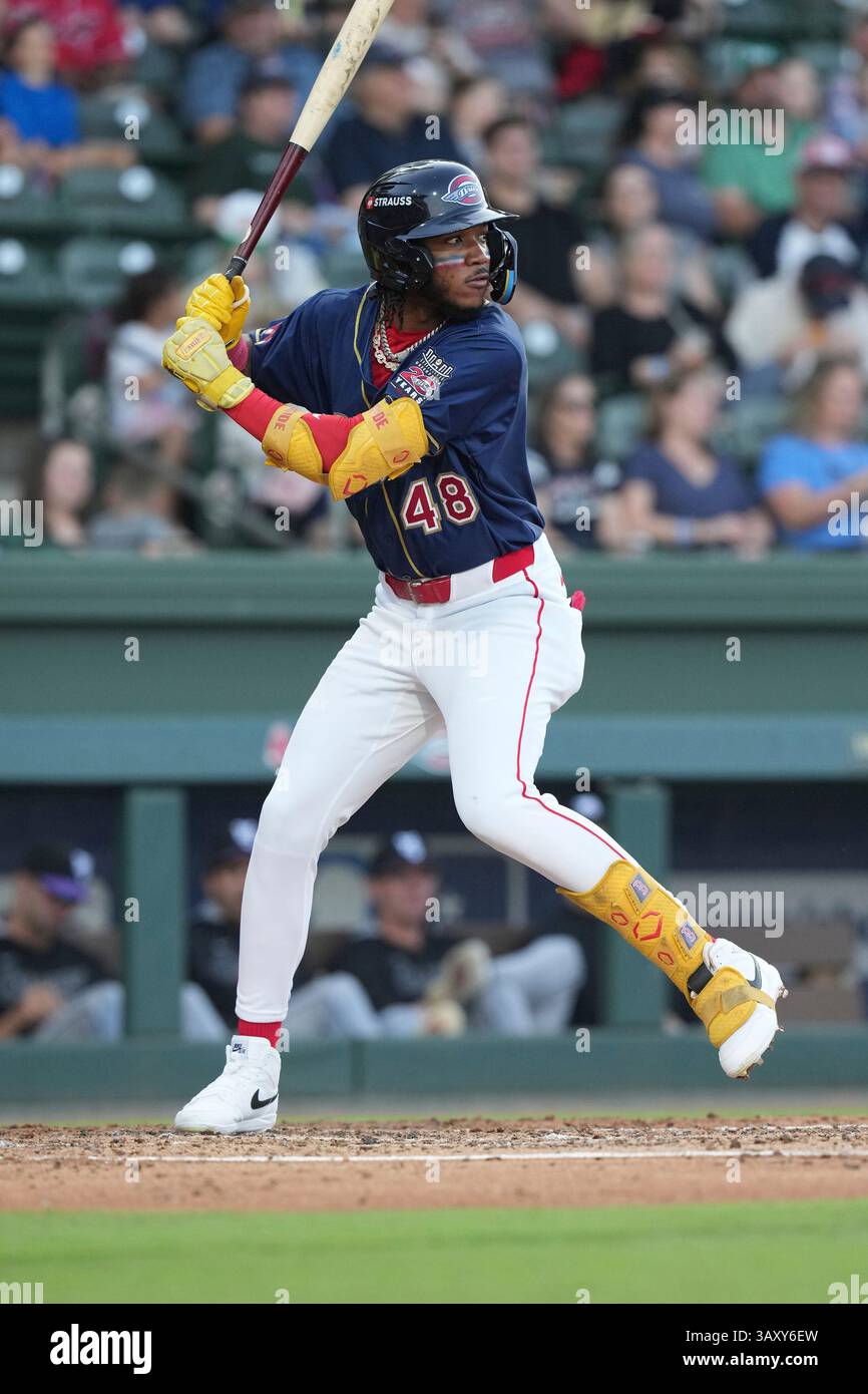 Miguel Bleis (48) of the Greenville Drive at bat in a South Atlantic ...