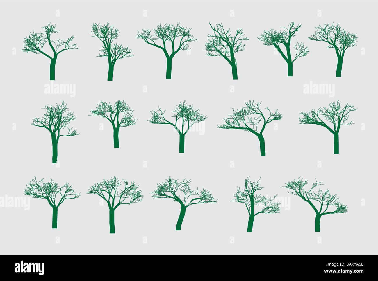 Green Silhouette Leafless Winter Trees Vector Set Stock Vector Image ...