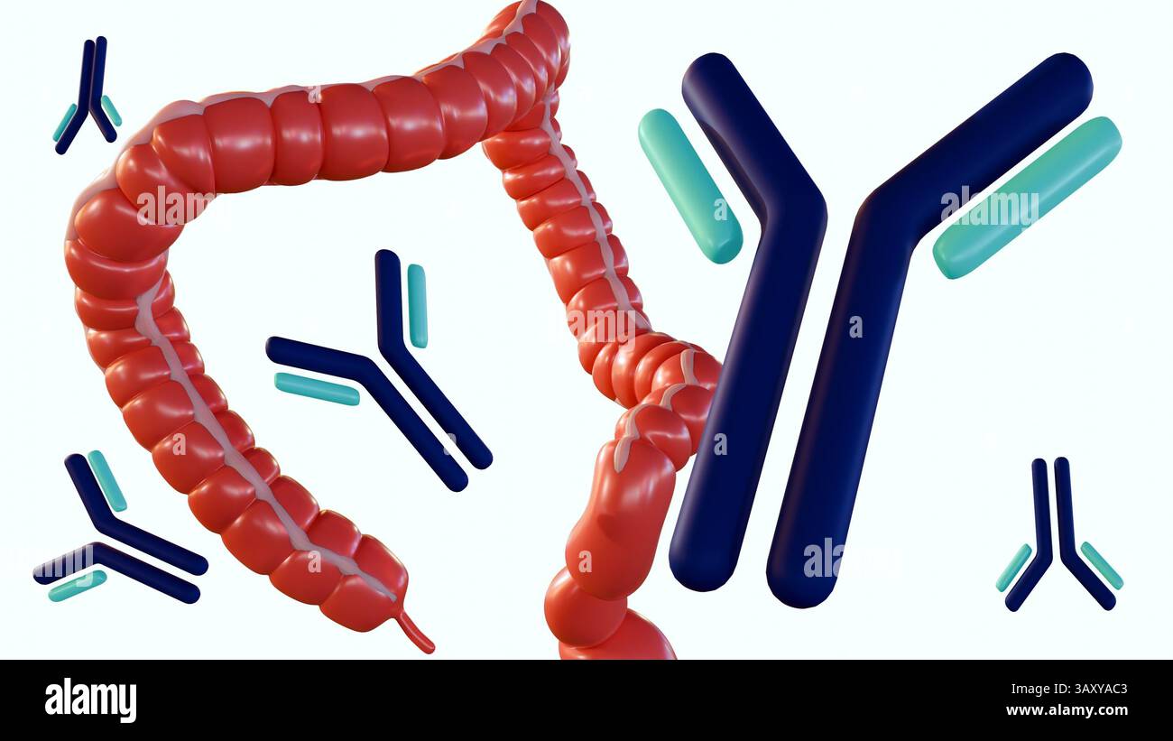 A 3d rendering of human large intestine and scattered y-shaped antibody ...