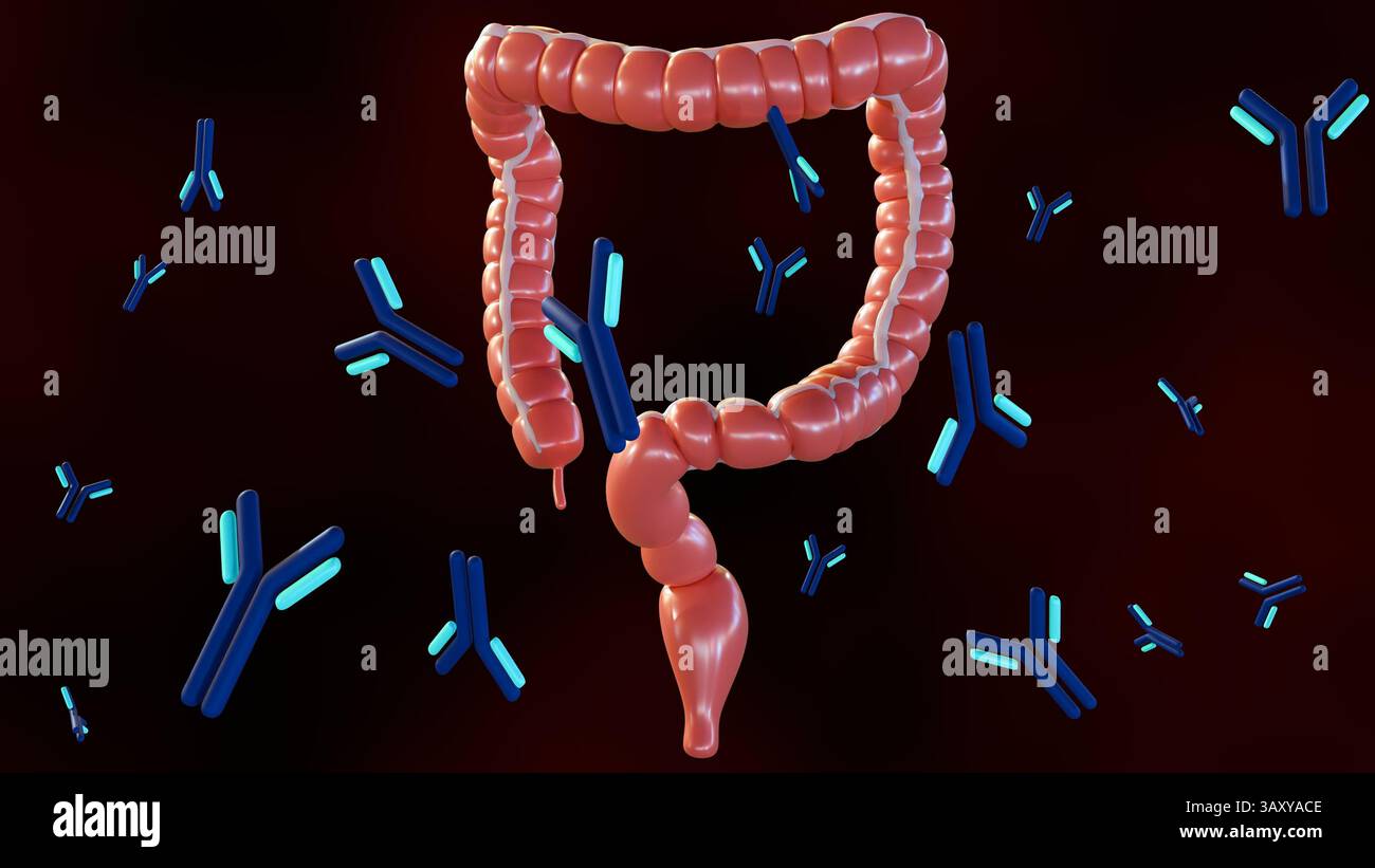A 3d rendering of human large intestine and scattered y-shaped antibody ...