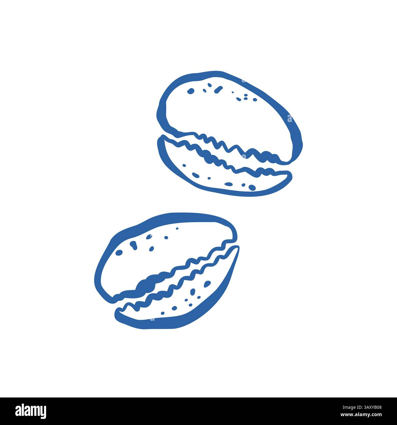 Hand drawn blue cowrie seashells isolated on white background for ...