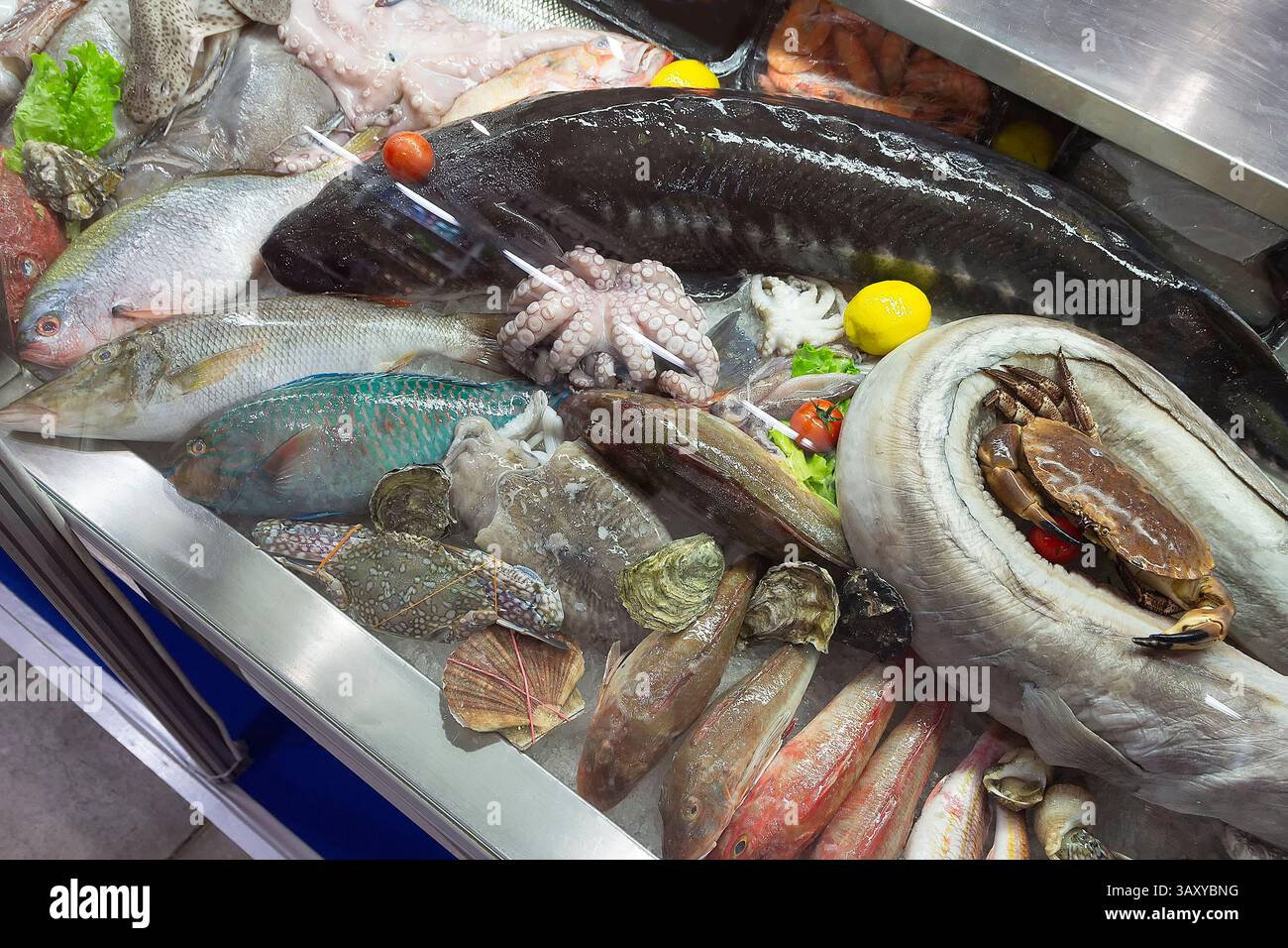 Variety of fish and seafood in a fish shop window. Food Stock Photo - Alamy