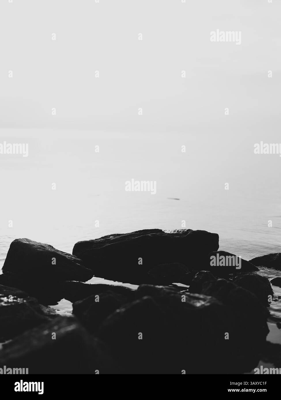 Contrasting Shadows and Serenity on the Waters Edge create a stunning ...