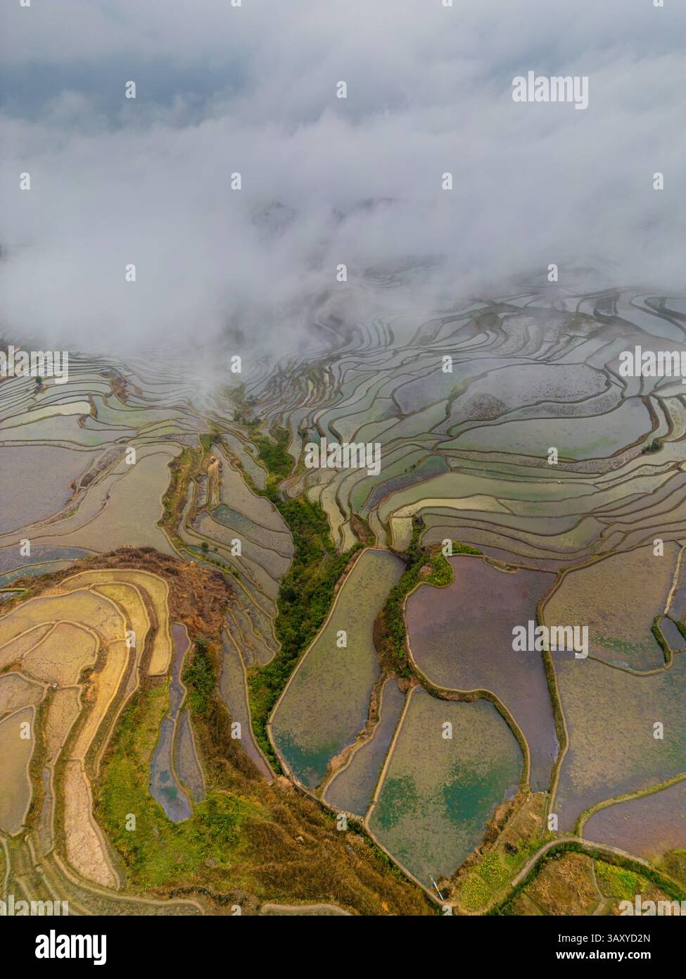 Yuanyang terrace field in Yunnan, China, vertical wallpaper, copy space ...