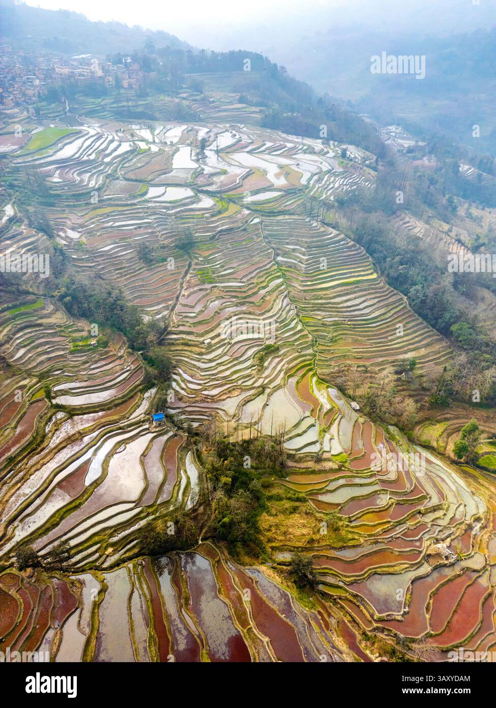 Colorful rice field terrace in China from aerial view, Bada rice ...