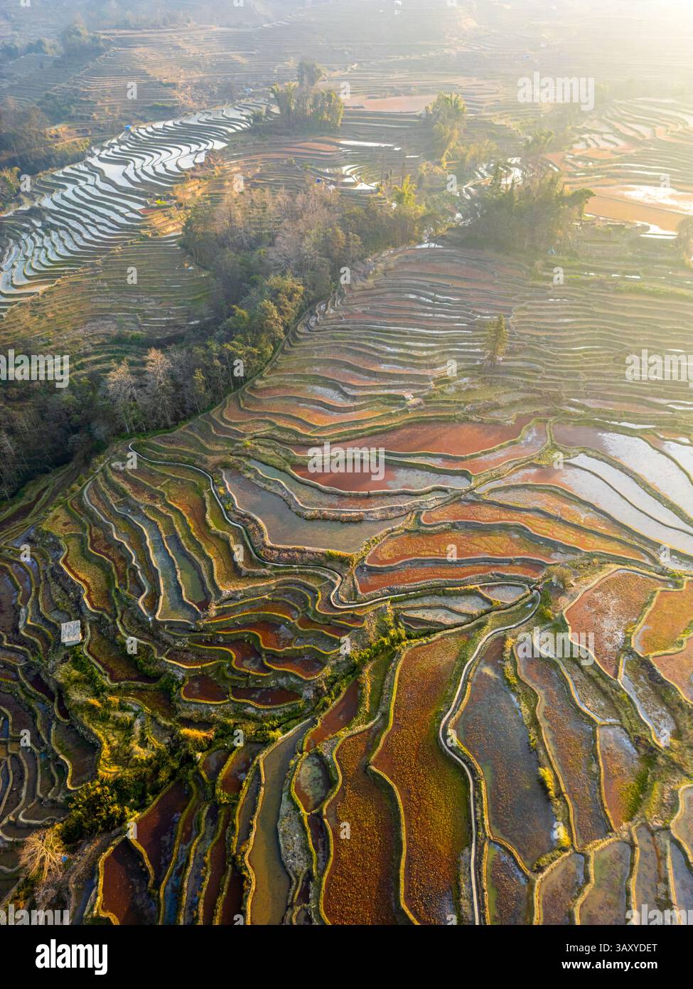 Yuanyang rice terrace from Bada scenic area in Yunnan province, China ...