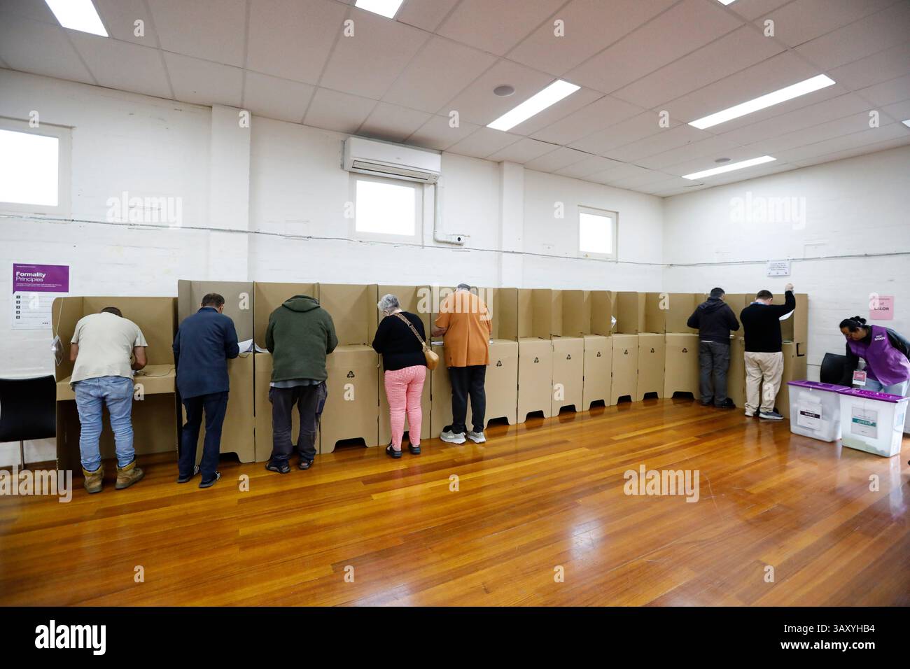 Voters are seen casting their ballots at a polling centre during early ...
