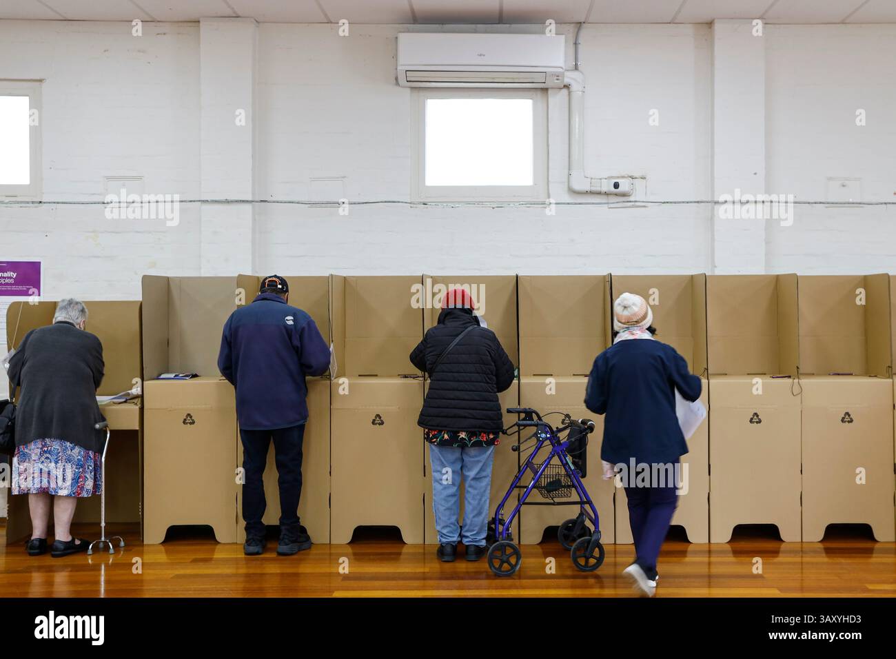 Voters seen casting their ballots at a polling centre during early ...