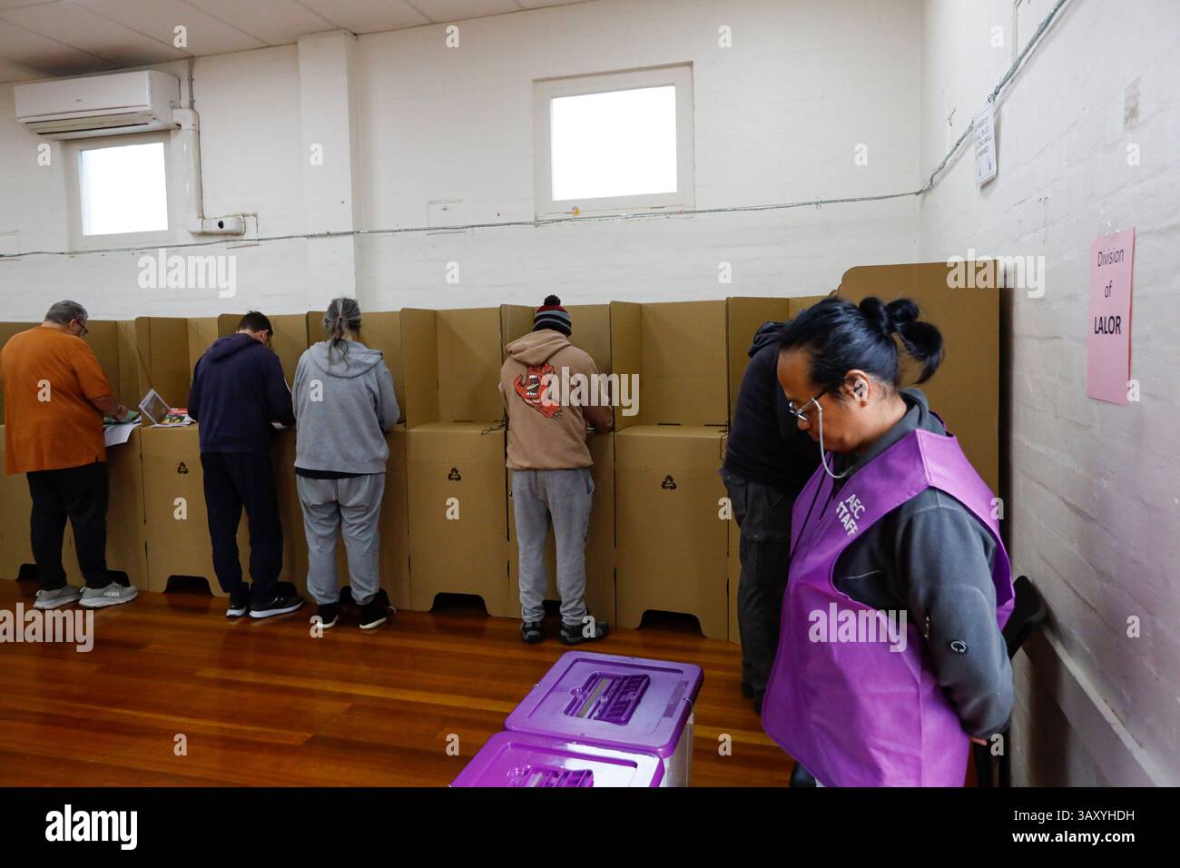 Voters seen casting their ballots at a polling centre during early ...