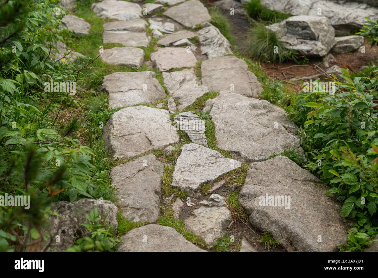 Rural path stones earth hi-res stock photography and images - Alamy