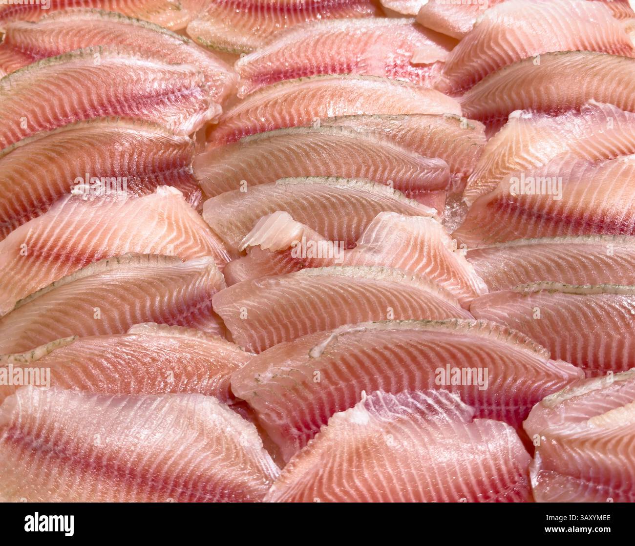 Tilapia fish fillet texture background. Fresh raw tilapia fish fillet ...