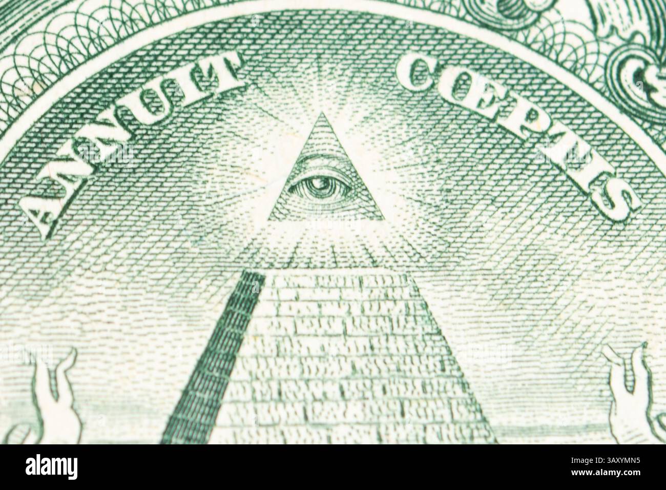 One dollar bill close up photo. Detail of US one dollar banknote with ...