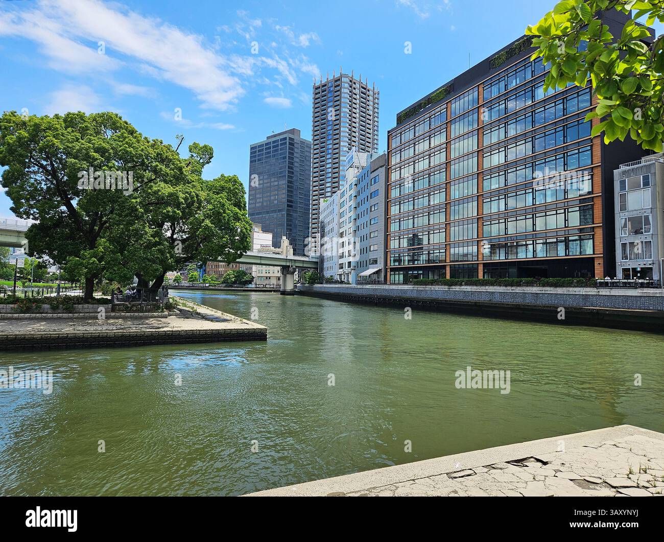 View of Tosabori River and Dojima River Confluence with Nakanoshima ...