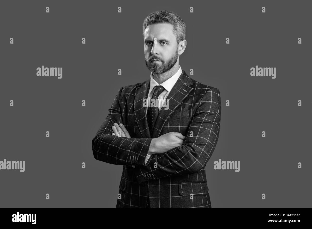 Mature businessman. Business boss portrait of business man. Successful ...