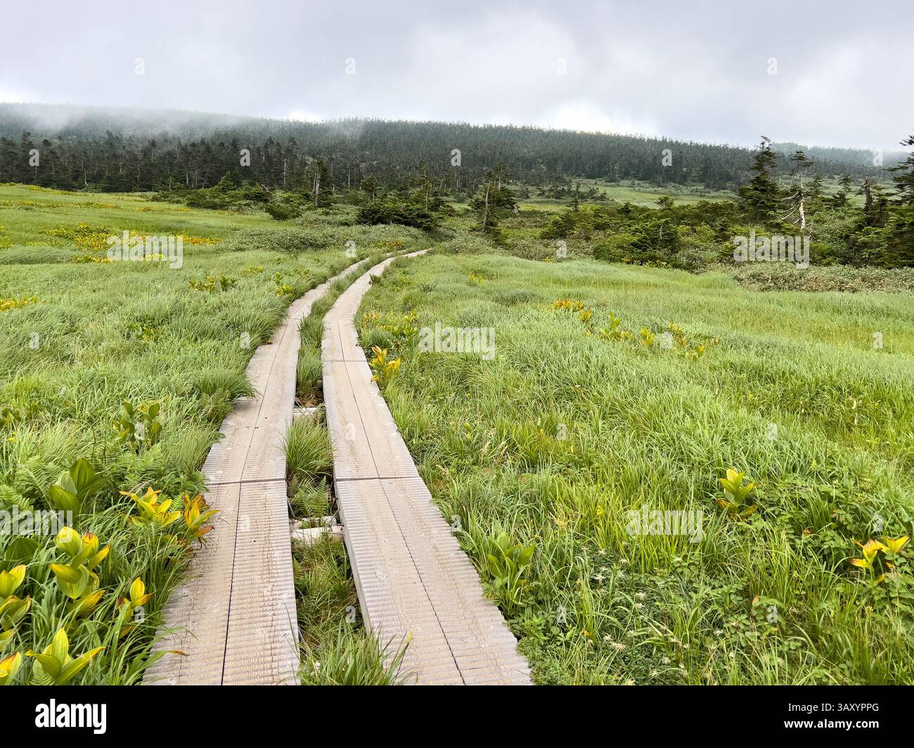 Mount Hachimantai Nature Trail, Towada-Hachimantai National Park ...