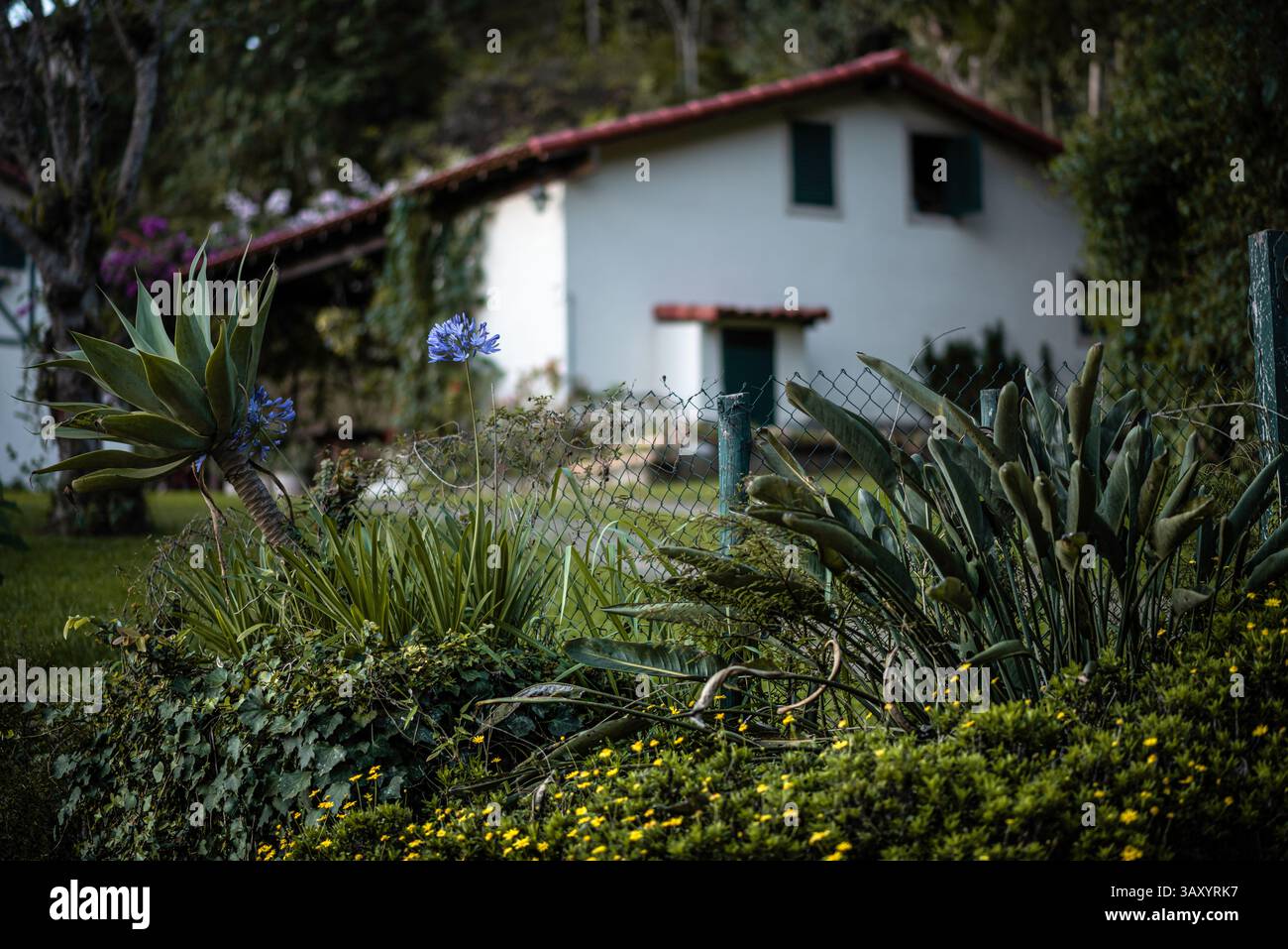 Garden and Rural House in the Brazilian Countryside Stock Photo - Alamy
