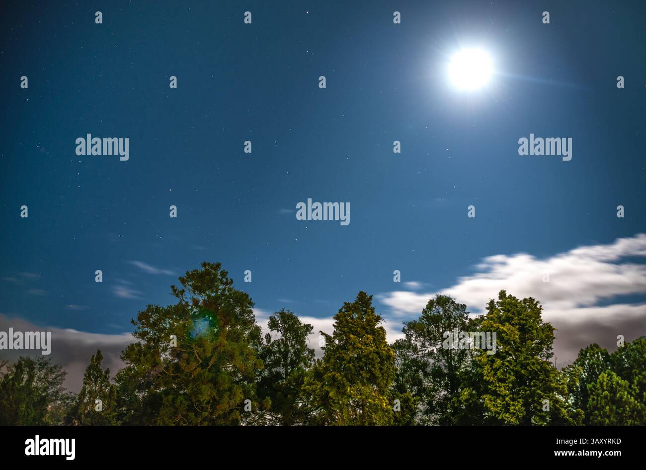 Full Moon and Starry Night Above Brazilian Forest Stock Photo - Alamy