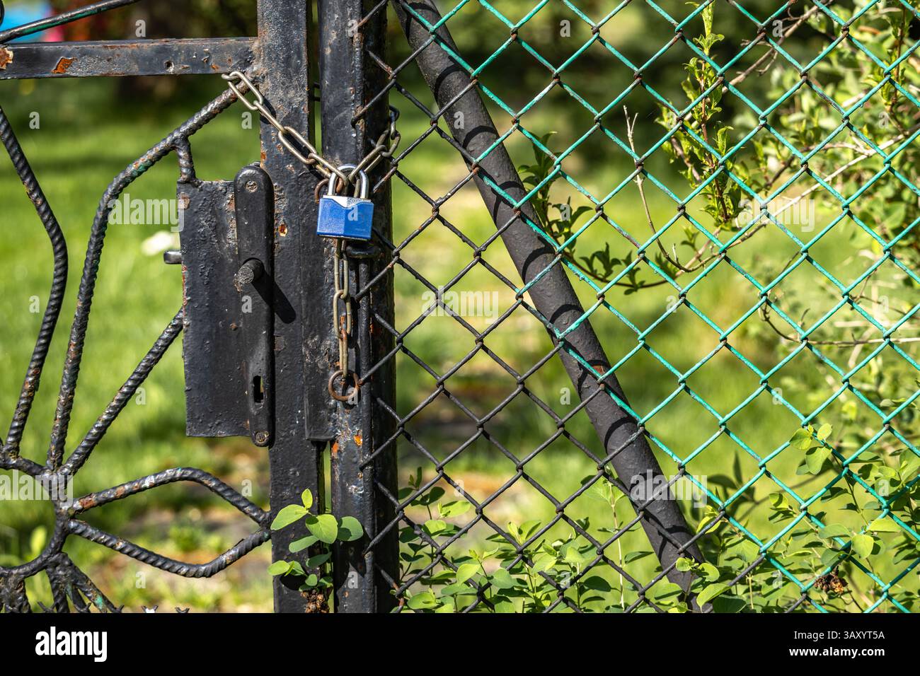 A small blue padlock with a key hanging on a metal fence, a closed ...